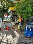 Bahar Gıda (İzmir, Buca, 366 Sok., 38), market  İzmir'den