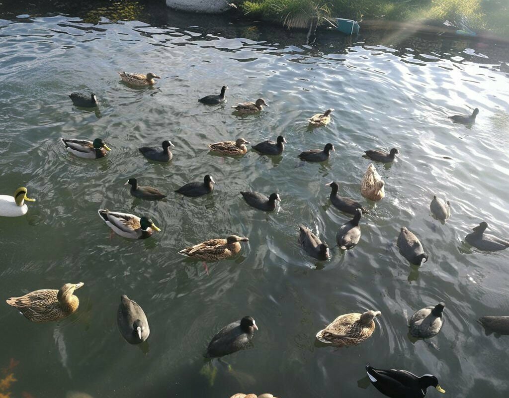 Su parkı Kartepe Botanic Wakepark, Kartepe, foto