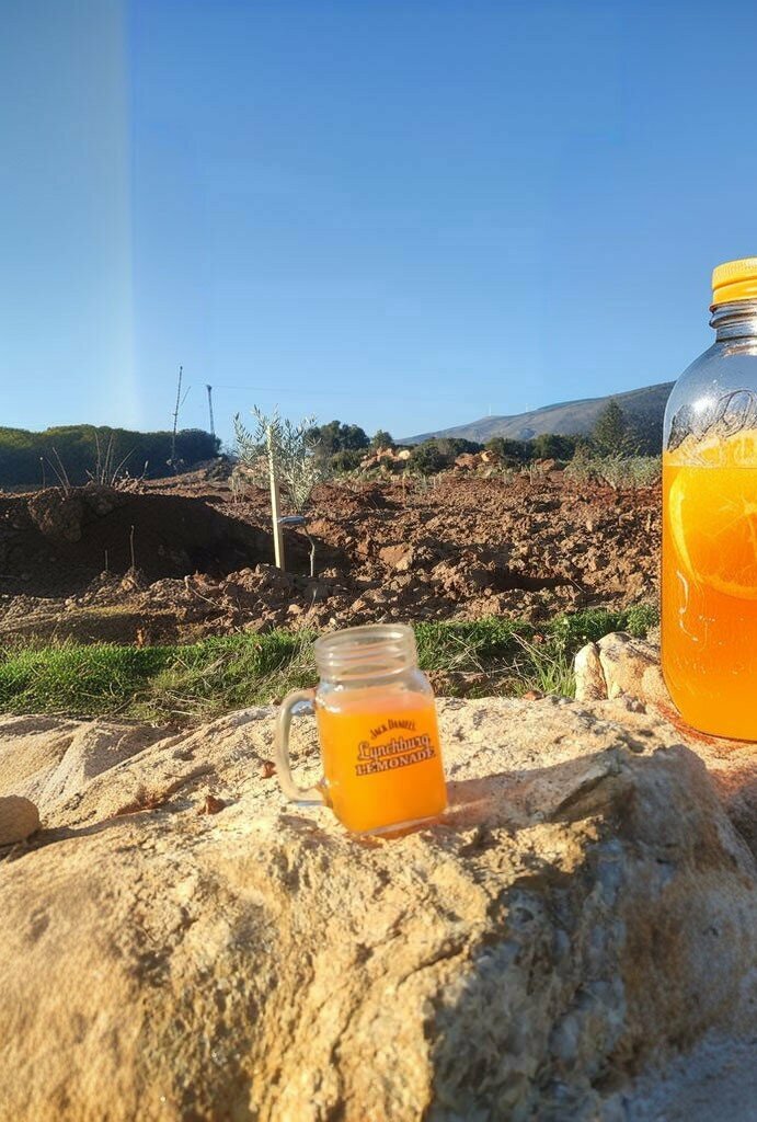 Muhtarlıklar Palamutçuk Mahalle Muhtarlığı, Karacasu, foto