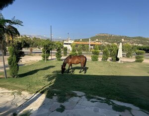 Turşucu Baba Kahvaltı Salonu-At Çiftliği (Mersin, Mut, Ortaköy Mah.), restoran  Mut'tan