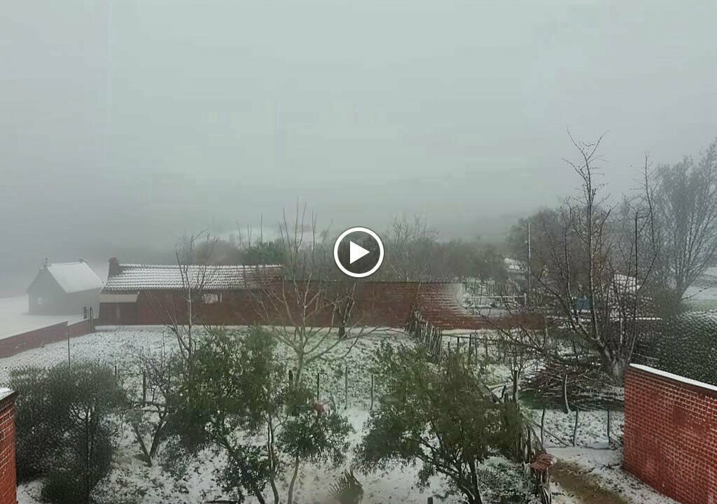 Muhtarlıklar Koşuburnu Köy Muhtarlığı, Bayramiç, foto