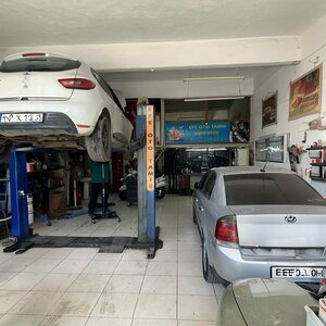 Efe Oto Tamir Bakım Servisi (Manisa, Alaşehir, Yeni Mah., 4. Sanayi Sok., 18), otomobil servisi  Alaşehir'den