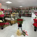Adıyaman Çiçek Haydar Duran (Adıyaman, Adıyaman Merkez, Fevzi Çakmak Cad., 98), çiçekçiler  Adıyaman'dan