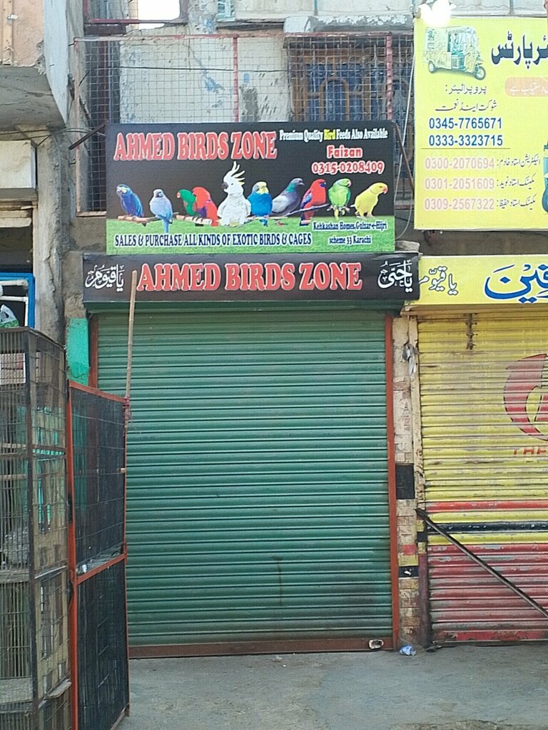 Petshop Ahmed birds zone, Karaçi, foto
