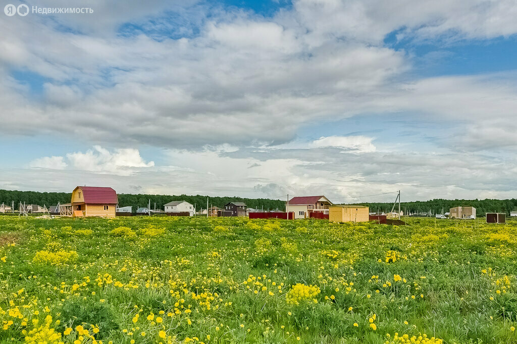 Yazlık yerleşim Марьина Роща, Moskova ve Moskovskaya oblastı, foto