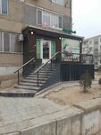 Qiwi (No:15, 14-shi shaǵyn aýdan), ödeme terminali  Aktav'dan