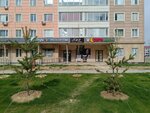 Atelier (No:34Г, mikrorayon Turan-2), terziler  Çimkent'ten (Şımkent'ten)