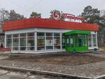Квартоплат (Ekvatornaya ulitsa No:15Ак1, Sovetskiy City Administrative District, mikrorayon Nizhnyaya Yeltsovka), ödeme terminali  Novosibirsk'ten