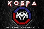 Кобра (Lenina Street No:30/1), spor kurumları  Lesnoy'dan