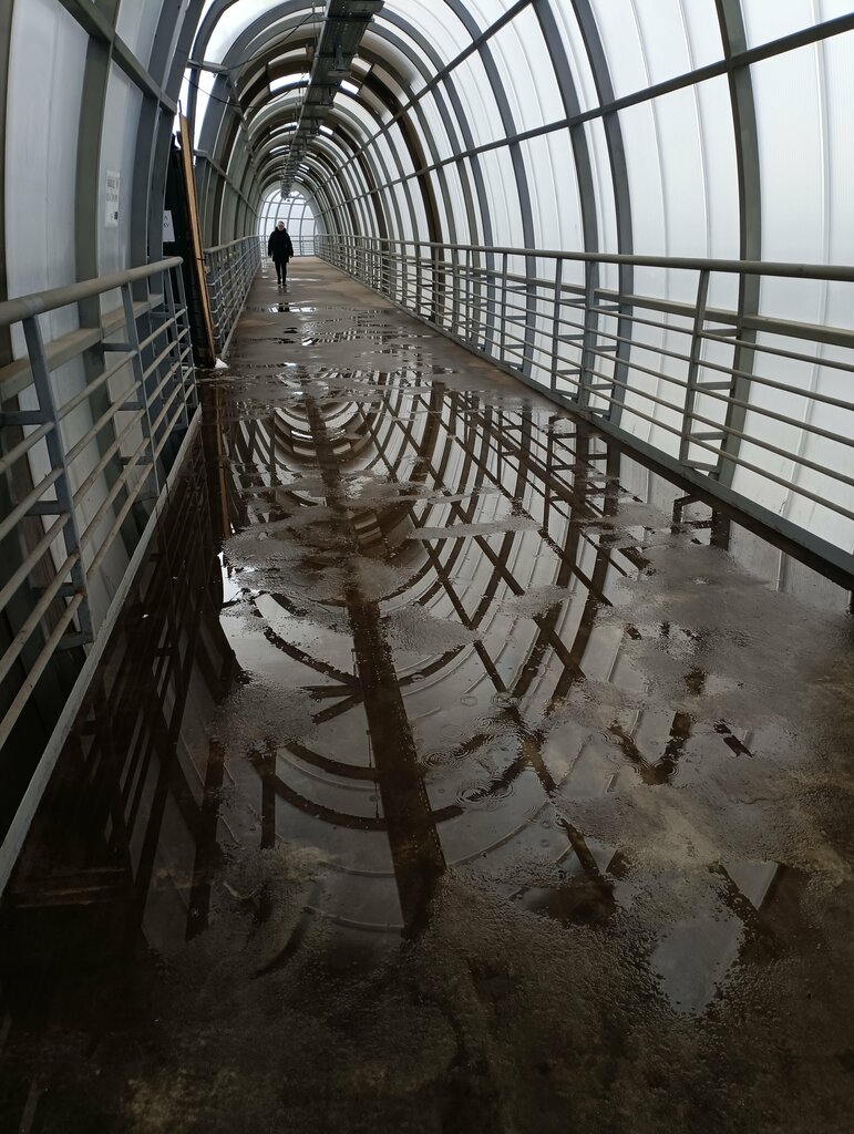 Tren istasyonu Zheleznodorozhnaya stantsiya Mga, Saint‑Petersburg ve Leningradskaya oblastı, foto