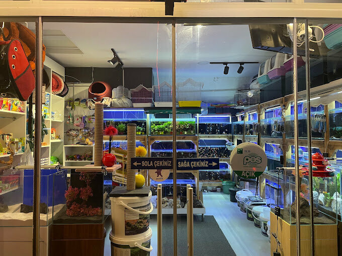 Petshop Stad Akvaryum Petshop, İstanbul, foto