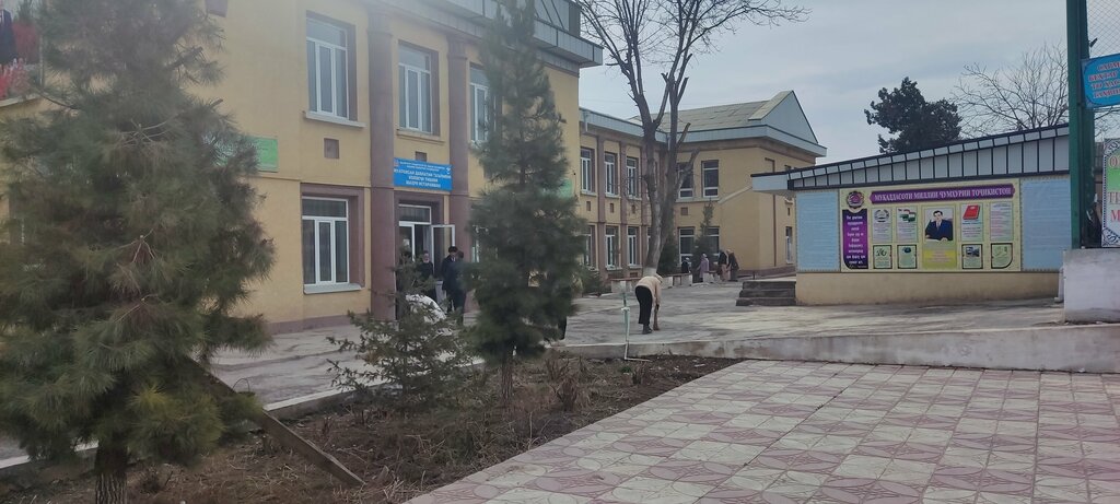 Yüksekokul Медицинский колледж, İsteravşan, foto