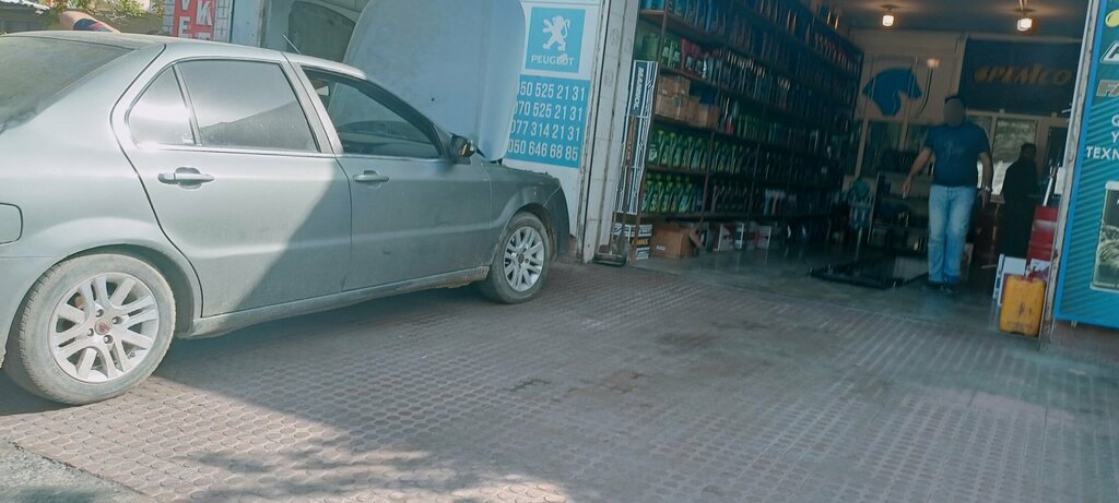 Express yağ değişim noktası Yağlama, Bakü, foto