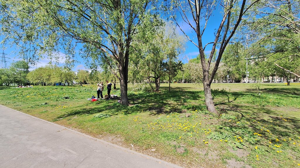 Piknik alanı Беседки для шашлыков, Moskova, foto