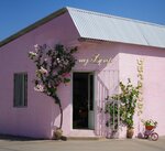 Iflor (Kotayk Region, Village of Zovuni, 6th Street), çiçekçiler  Kotayk'tan