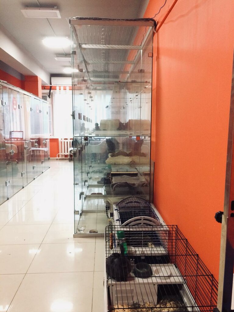 Pet otel PetHouse, Zelenograd, foto