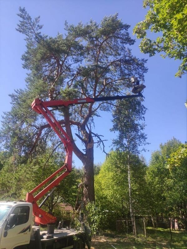 Endüstriyel dağcılık Alpika, Saint‑Petersburg, foto
