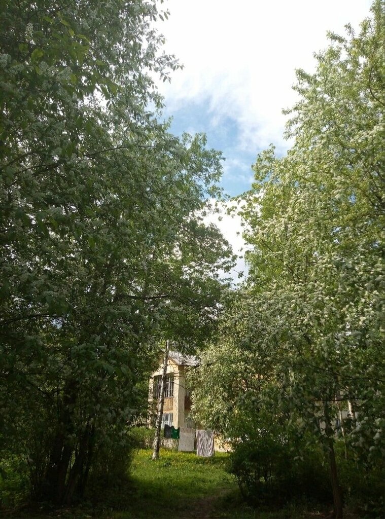 Turistik yerler Каменный сарай, Petrozavodsk, foto