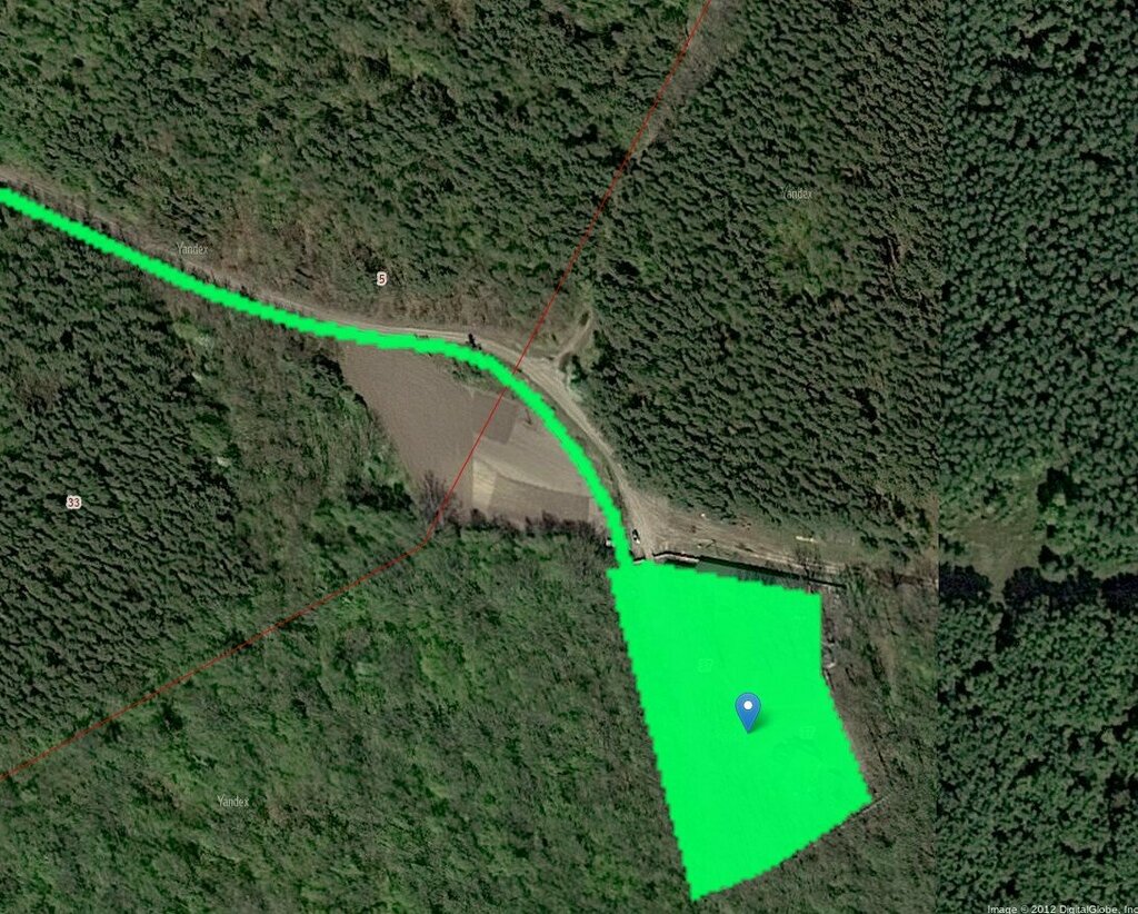 Orman Казённый лес, Belgorodskaya oblastı, foto