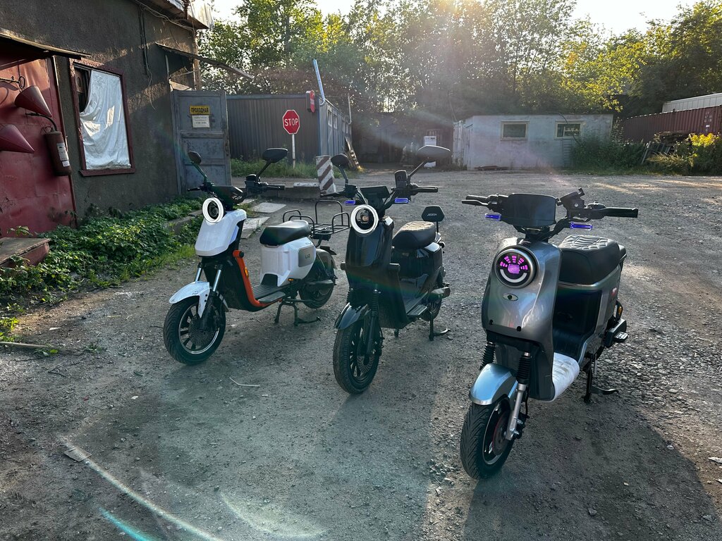 Kişisel elektrikli araç tamiri R. I. Z. I. N, Saint‑Petersburg, foto