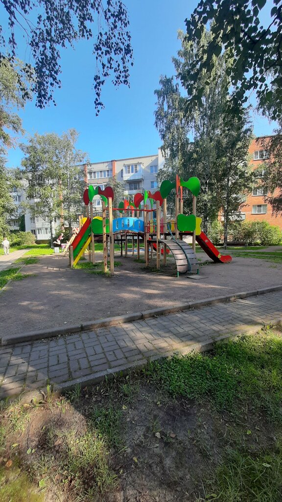 Oyun alanı Playground, Sosnoviy Bor, foto