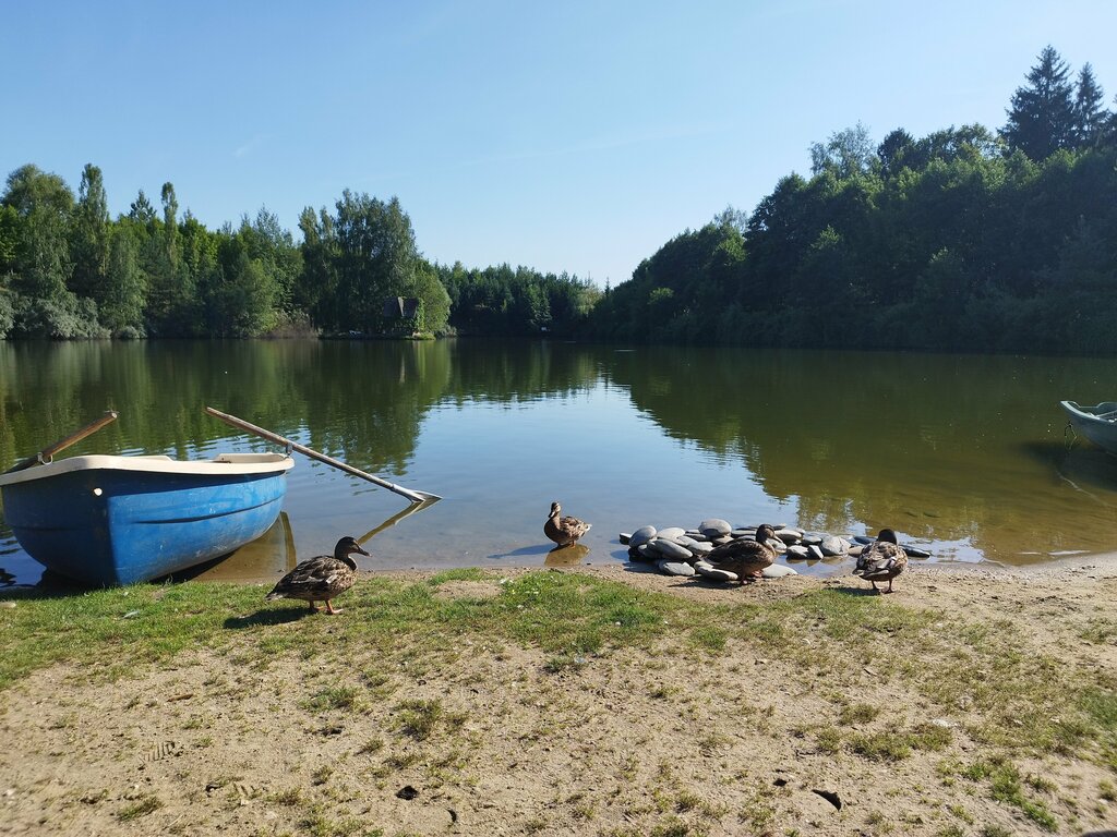 Plaj Пляж, Moskova ve Moskovskaya oblastı, foto