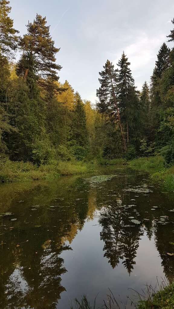 Pınar, çay Серебряные ключи, Moskova, foto