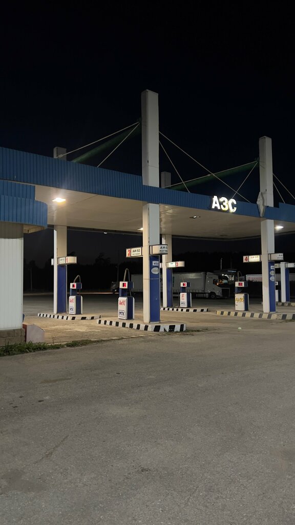 Benzin istasyonu АЗС Benzo market, Çeliabinskaya oblastı, foto