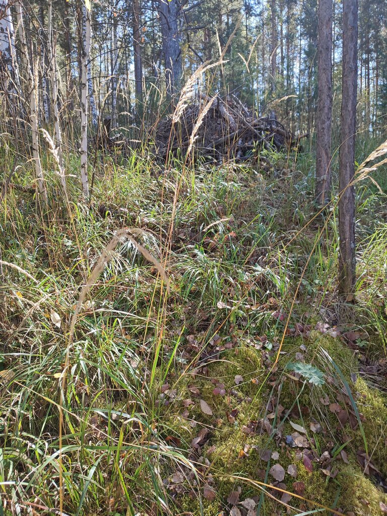 Turistik yerler Пещера Кадышская, Başkurdistan, foto