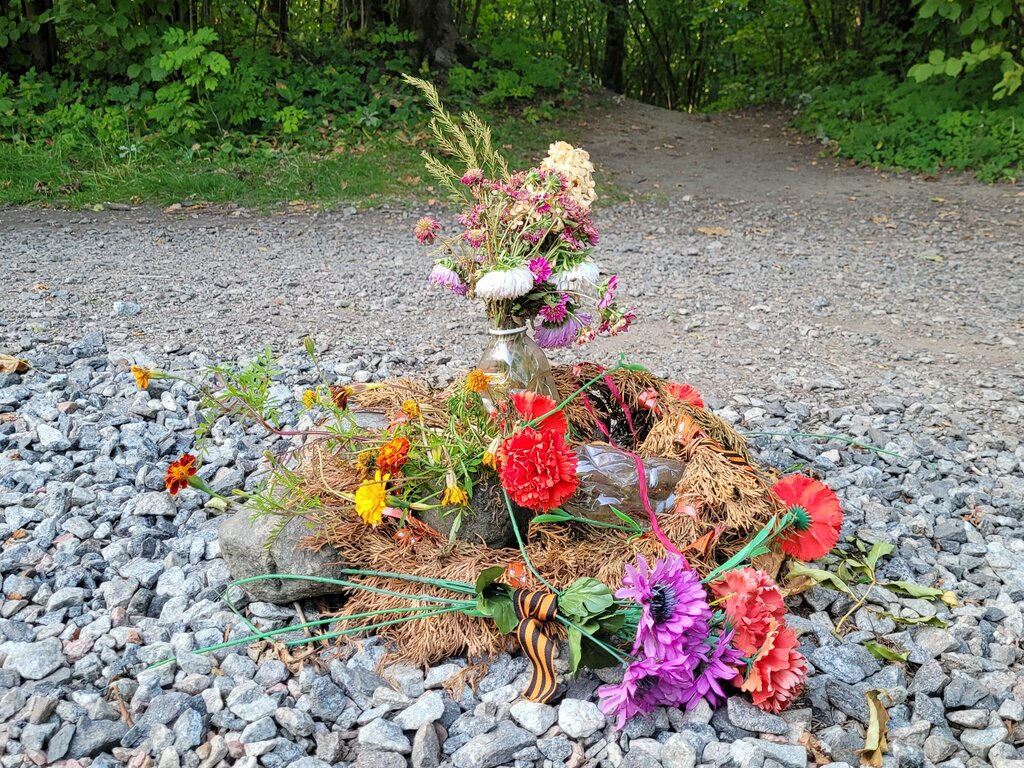 Anıt, heykel Крест памяти воинов 63-й и 64-й гвардейских дивизий, Krasnoye Selo, foto
