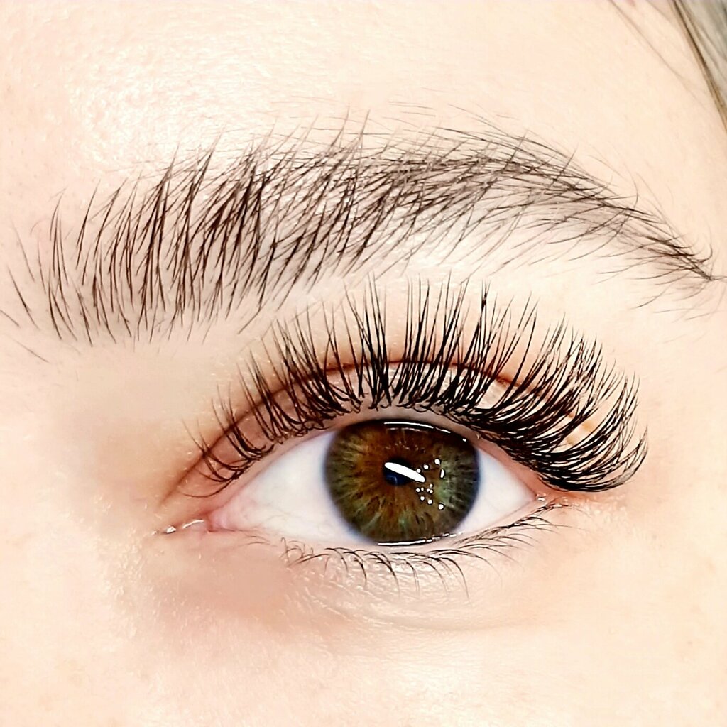 Kaş ve kirpik salonu Browse and lashes salon, Vladivostok, foto