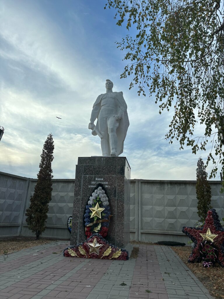 Anıt, heykel Воинам 380-ой стрелковой дивизии, освободившим города Орёл, Orel, foto