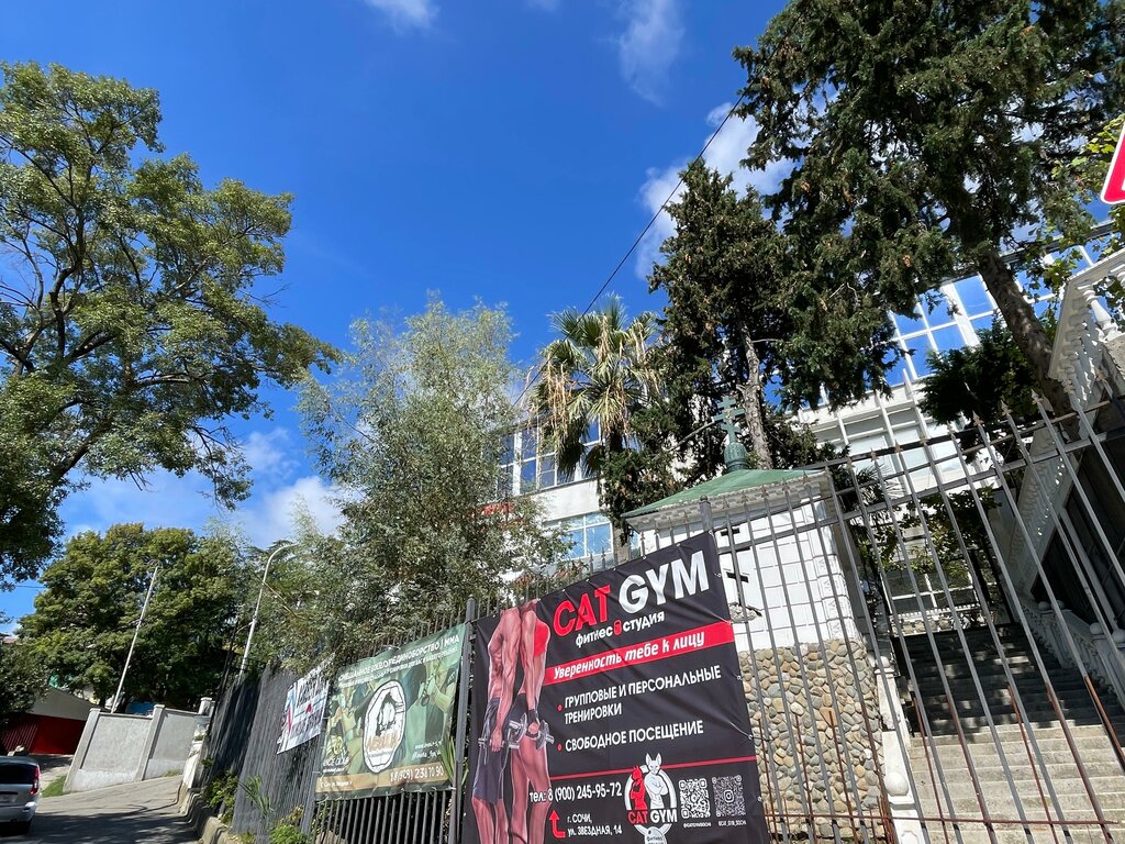 Fitness kulüpleri Cat Gym, Soçi, foto