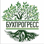 BuhProgress (Kominterna Street No:46), muhasebeciler  Moskova'dan