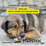 Parstek Pet (Kocaeli, İzmit, Cedit Mah., Bostanlar Sok., 43), petshop  İzmit'ten