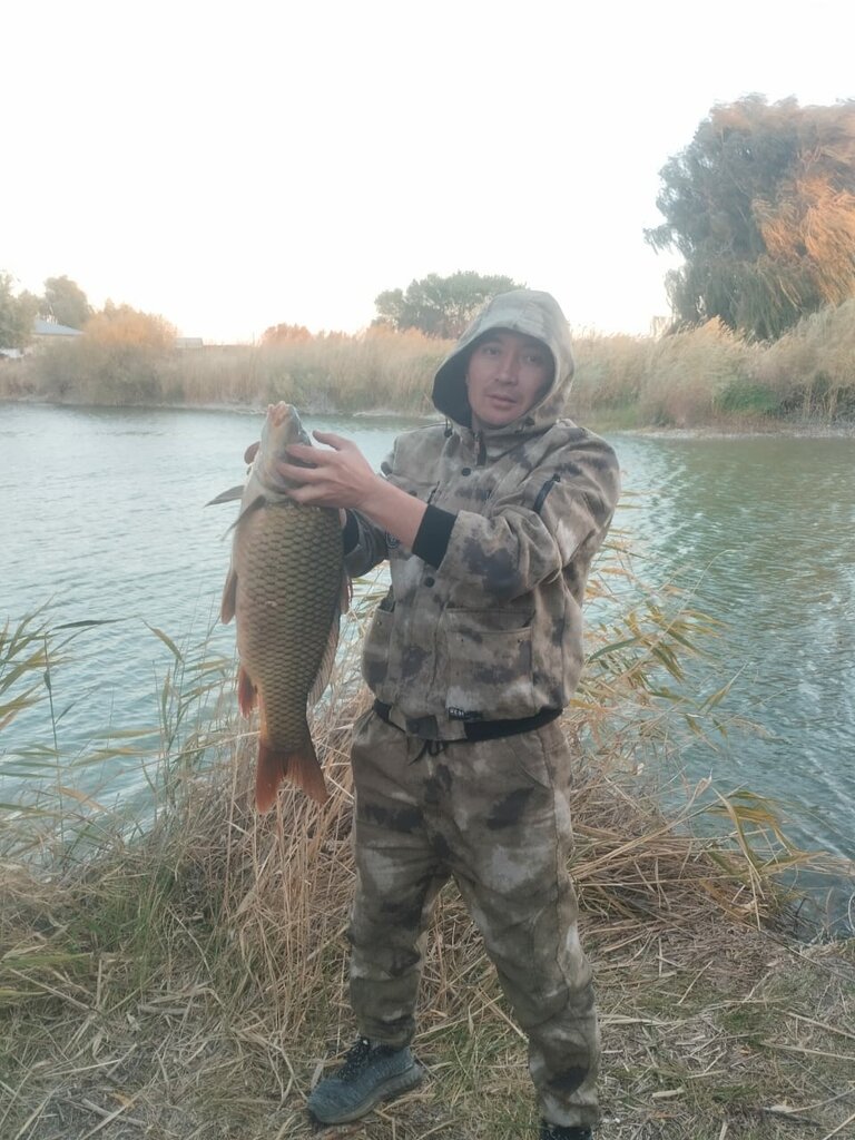 Balık çiftçiliği ve toptancıları Balyk Taldykorgan, Zhetysu ili, foto