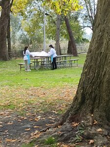 Seka Kamp (Kocaeli, Kartepe, Uzuntarla Mah., Çamkonak Cad.), kültür ve eğlence parkları  Kartepe'den