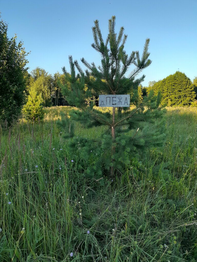 Anıt, heykel Памятный знак на месте бывшей деревни Пежа, İvanovskaya oblastı, foto