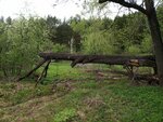 Три братца (Republic of Bashkortostan, Birsk), pınar, çay  Birsk'ten