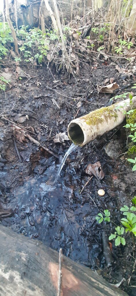 Pınar, çay Spring, stream, Saint‑Petersburg, foto