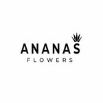 Ananas Flowers (Máńgilik El dańǵyly No:36), çiçekçiler  Astana'dan