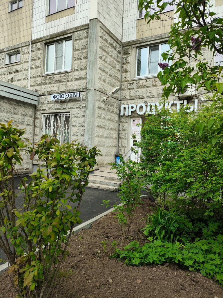 Tercüme büroları Перевод документов и Точка, Moskova, foto