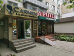 Carmen (strada Miron Costin No:10), güzellik salonu  Kişinev'den