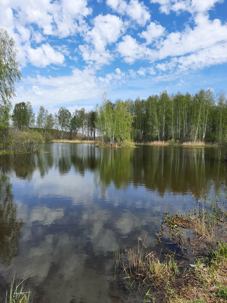 Kültür ve eğlence parkları Пышминские озерки, Yekaterinburg, foto