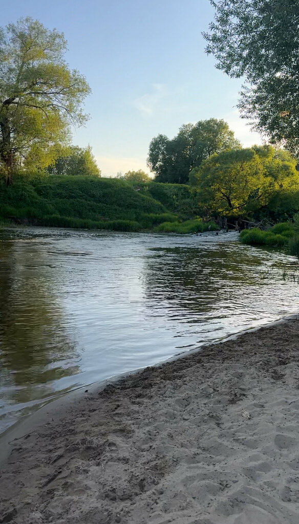 Plaj Пляж, Moskova ve Moskovskaya oblastı, foto