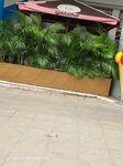 Gelimo (Luanda, Rua Kwamme Nkrumah), dondurmacılar  Loanda'dan