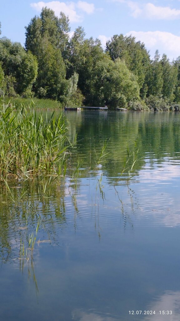 Plaj Пляж, Novosibirskaya oblastı, foto