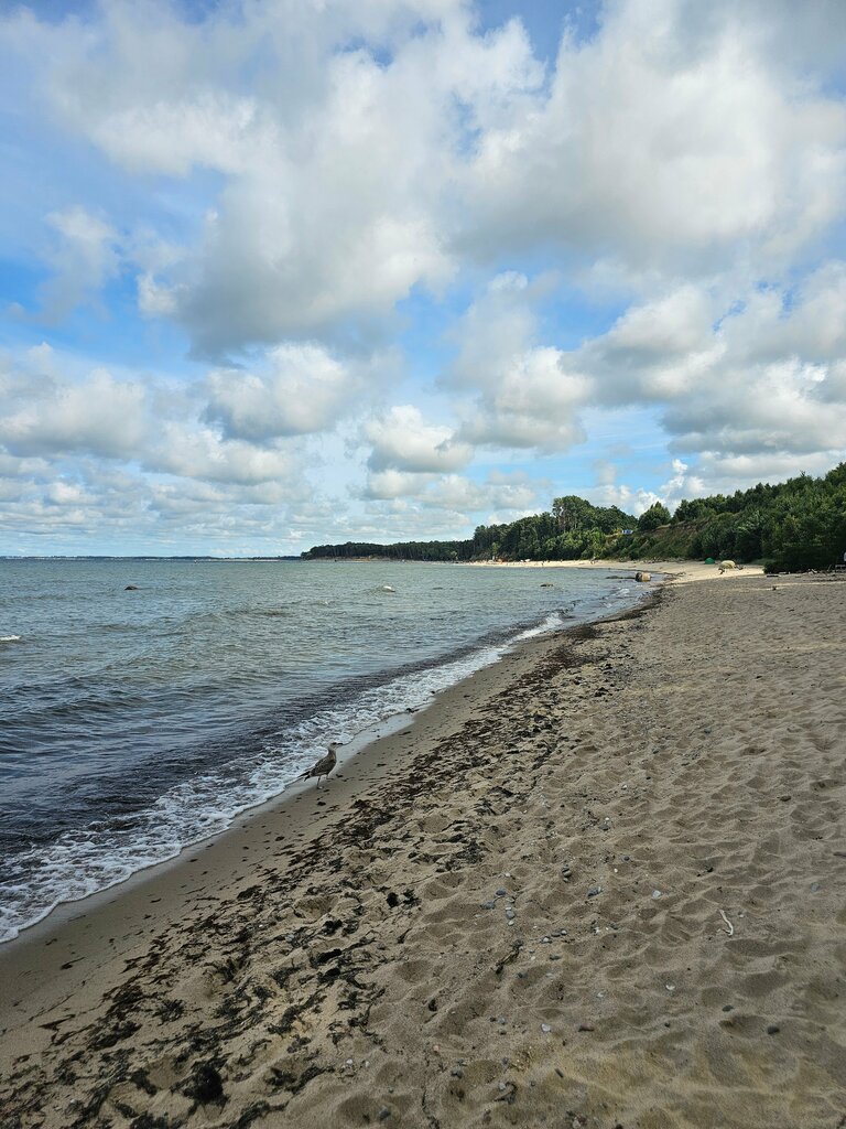 Plaj Пляж, Kaliningradskaya oblastı, foto