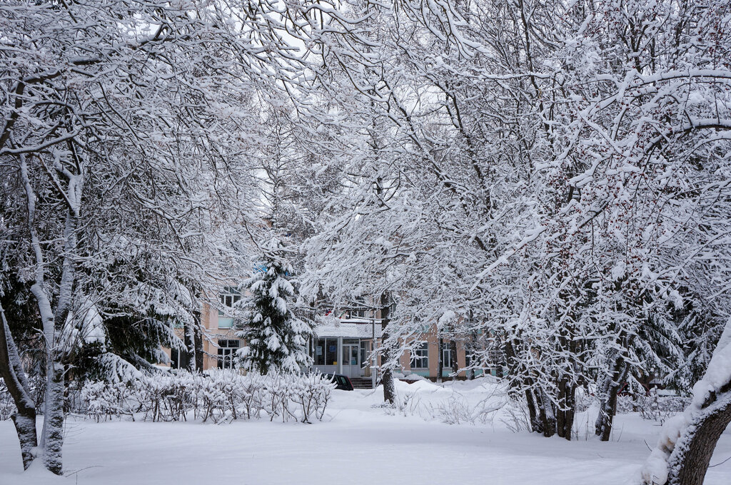 Üniversiteler Leninogorsky filial KNITU KAI, Leninogorsk, foto