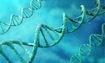 Özel İstanbul Dna Testi (Küçükbakkalköy Mah., Selvi Sok., No:4, Ataşehir, İstanbul), tıbbi laboratuvarlar  İstanbul'dan